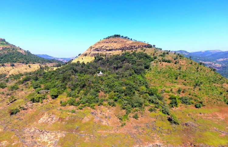 Preserving India's Sacred Groves: The Importance of Devrai in Biodiver ...