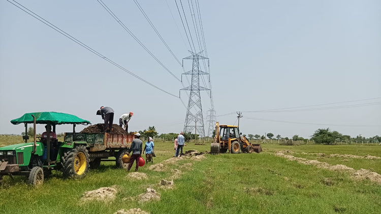 Urban Forest in Chennai – Grow Billion Trees