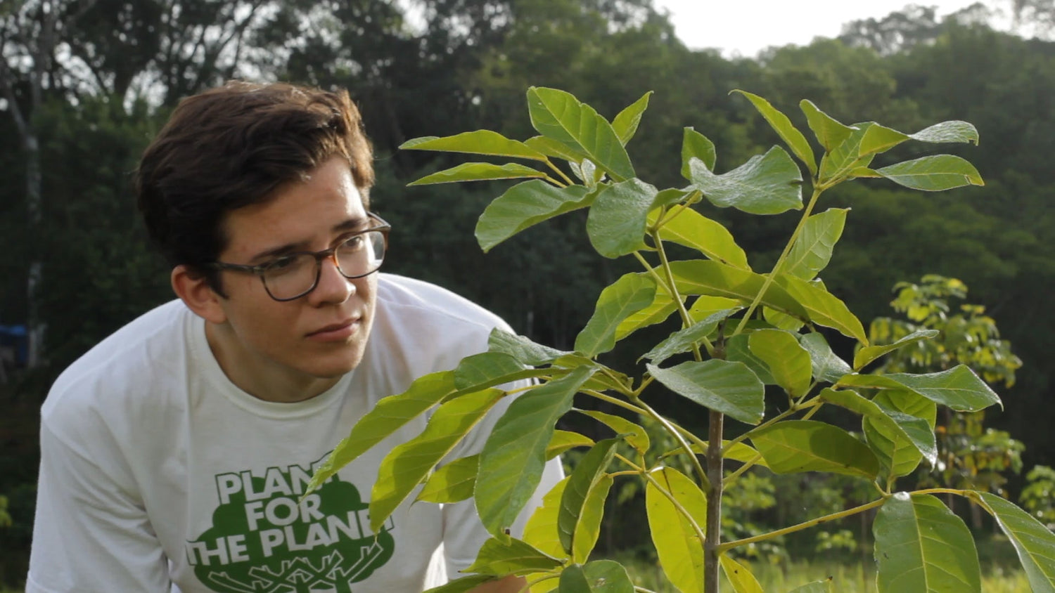 Felix Finkbeiner: Young Climate Visionary Tree Planting Revolution ...