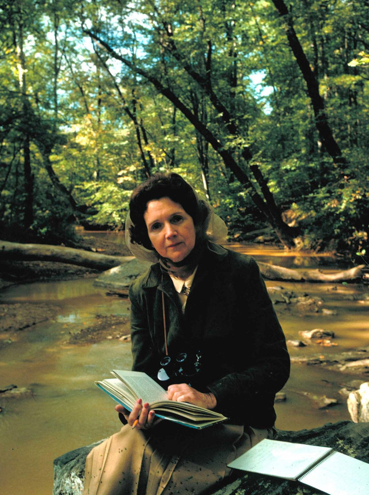 Rachel Carson: The Silent Spring Author Who Sparked the Environmental ...