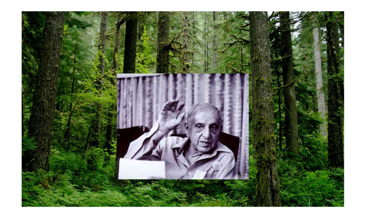 S. P. Godrej: Pioneering Sustainable Innovation & Ecology – Grow ...