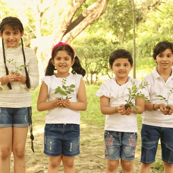 Greet with Trees – Grow Billion Trees