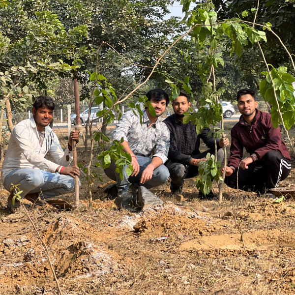 Tree Plantation on New Year – Grow Billion Trees