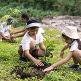 Tree Plantation in India – Grow Billion Trees