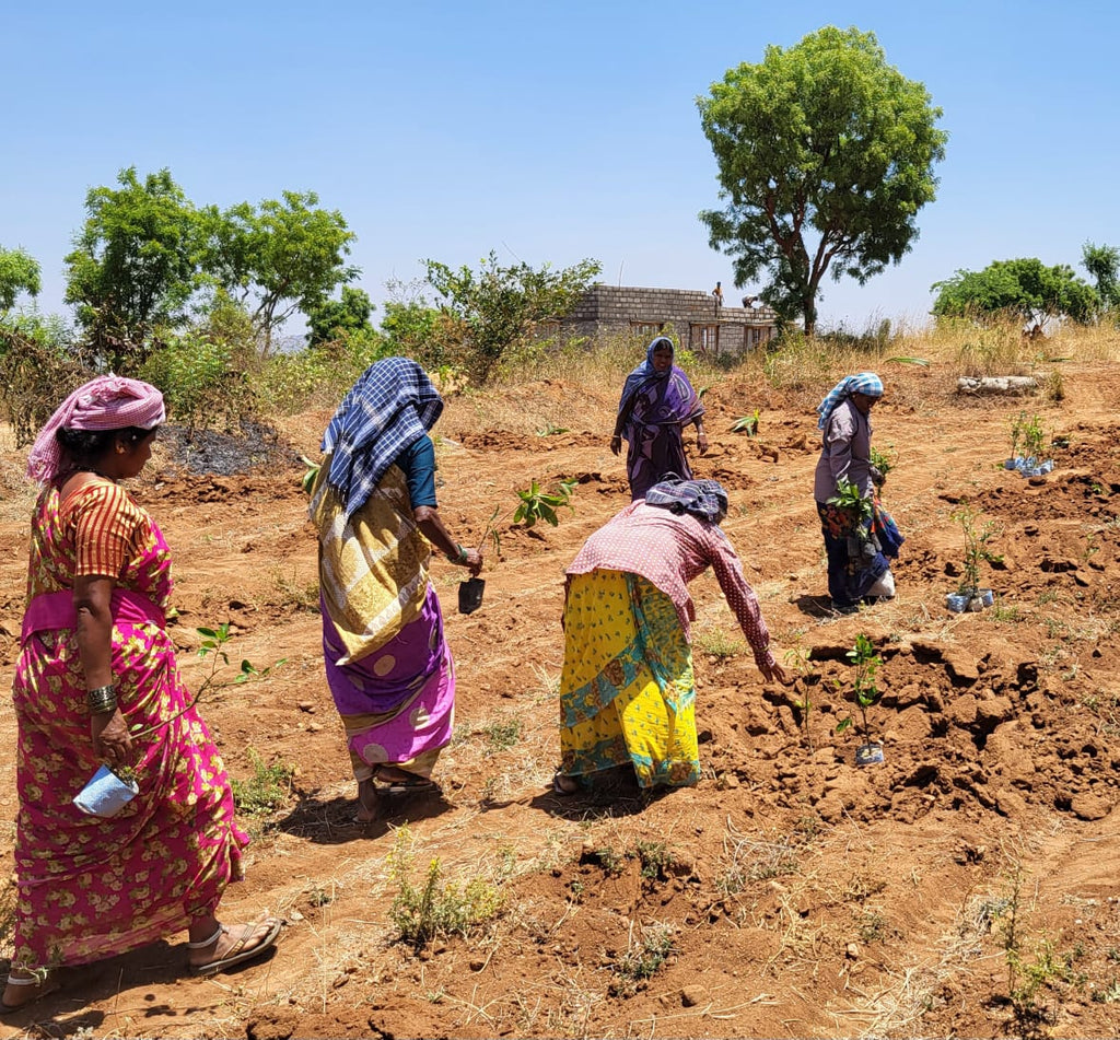 Forest by TAAL Tech – Grow Billion Trees