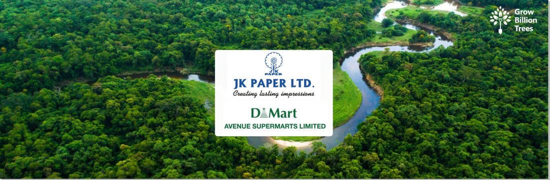 Reviving Landscapes: JK Paper’s Agroforestry Mission – Grow Billion Trees