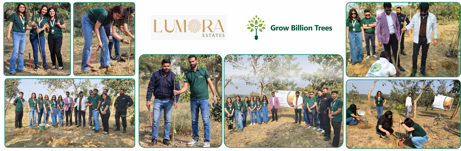 Lumora Estates – Building a Sustainable Green Zone in Greater Noida ...