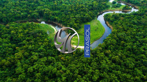 Corporate Forest – Grow Billion Trees