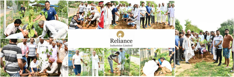 Reliance Industries Initiative: Community Tree Plantation for a Greener ...