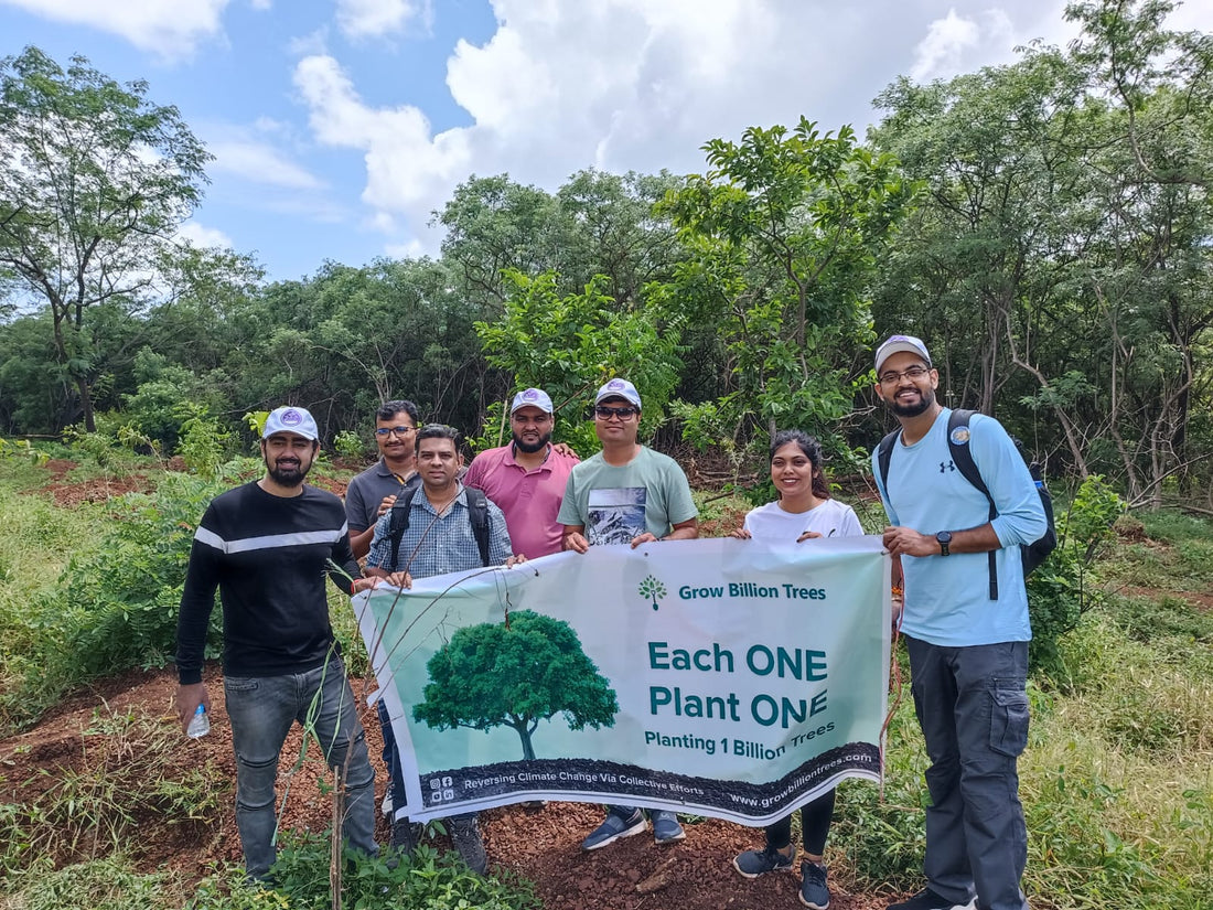 Green Nandanvan, Wanowarie Pune – Grow Billion Trees