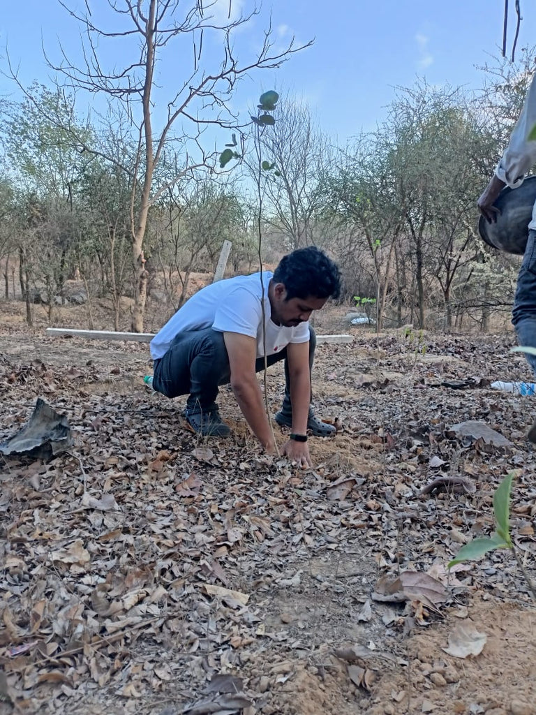 Podtech Tree Plantation - A Green Initiative – Grow Billion Trees