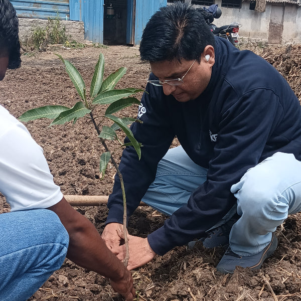 Rooted in Teamwork: KBR's Employee Engagement through Tree Plantation ...