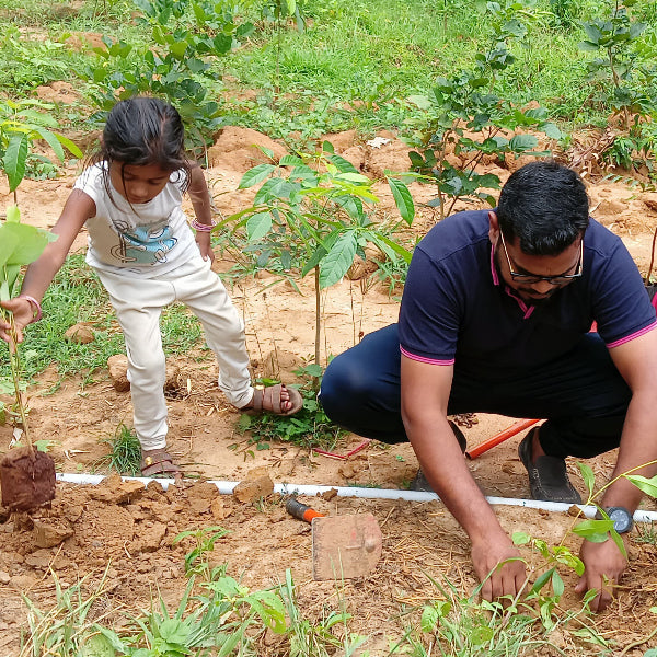 "Cultivating Change: Zededa India’s Tree Planting Drive for Urban ...