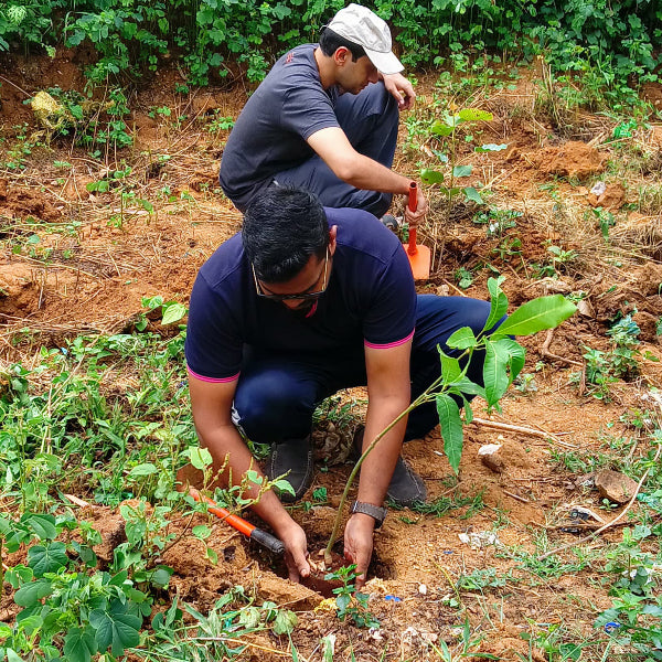 "Cultivating Change: Zededa India’s Tree Planting Drive for Urban ...
