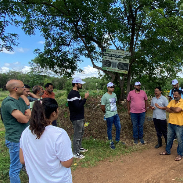 Urban Tree Plantation by SentinelOne – Grow Billion Trees