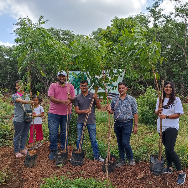 EACH ONE PLANT ONE: SentinelOne’s Green Commitment to Urban ...