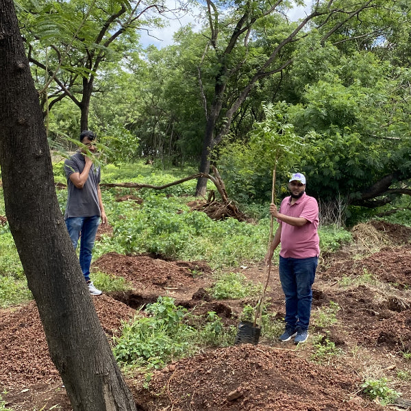 EACH ONE PLANT ONE: SentinelOne’s Green Commitment to Urban ...