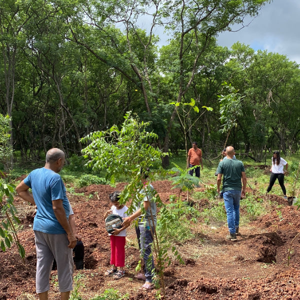 EACH ONE PLANT ONE: SentinelOne’s Green Commitment to Urban ...