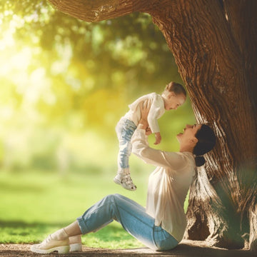 Chafa Tree: Unveiling the Fragrant Splendor and Healing Wonders of Nat ...