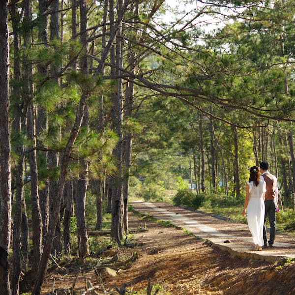 Green Kingdom of Love - 100 Trees Forest on Valentine’s Day – Grow ...