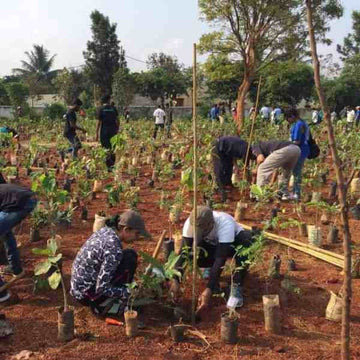 CSR Tree Plantation – Grow Billion Trees