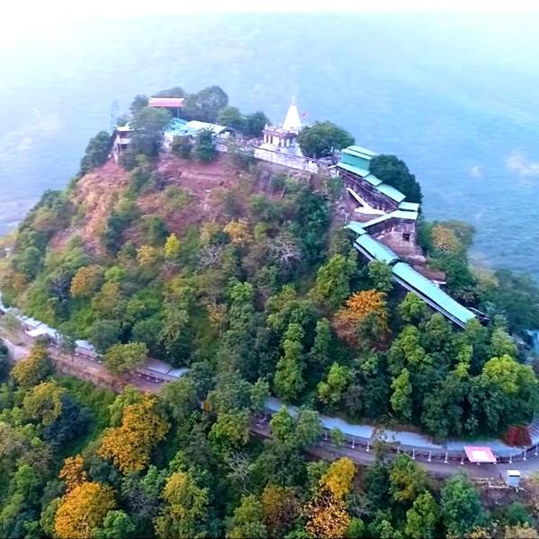 Trees for Navratri – Grow Billion Trees