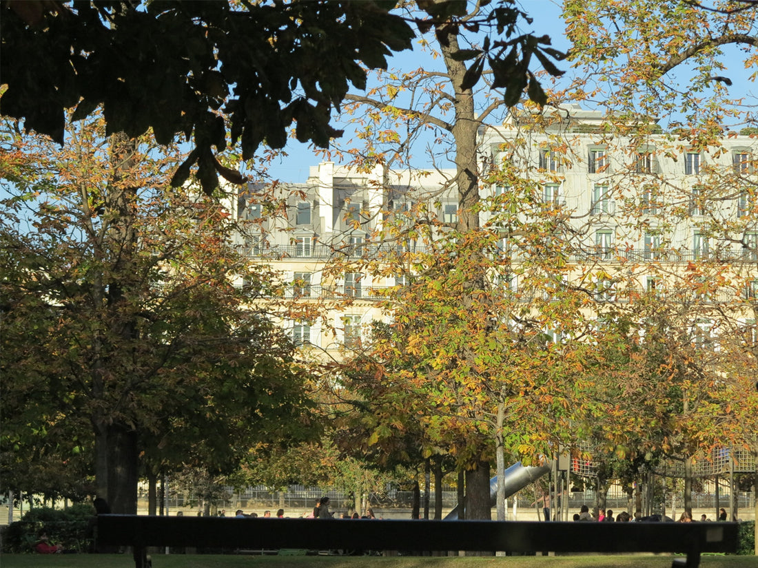 Urban Forests: The Lungs of the City – Grow Billion Trees