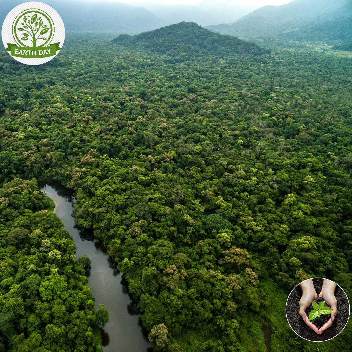 Trees for Earth Day (22nd Apr) – Grow Billion Trees