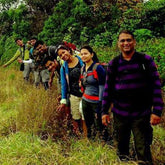 The Kanchan Tree: A Beacon of Beauty and Ecological Balance – Grow ...