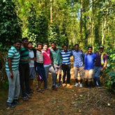 Hollong Tree: The Tallest Tree in Assam and Arunachal Pradesh – Grow ...