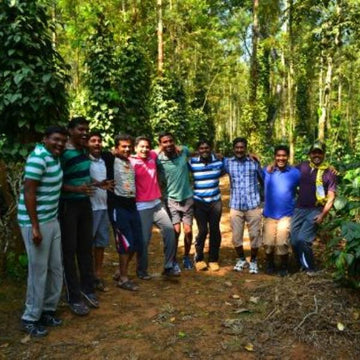 Gamhar Tree: Celebrating the Beauty and Environmental Contributions of ...