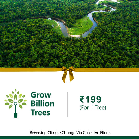 Products – Grow Billion Trees