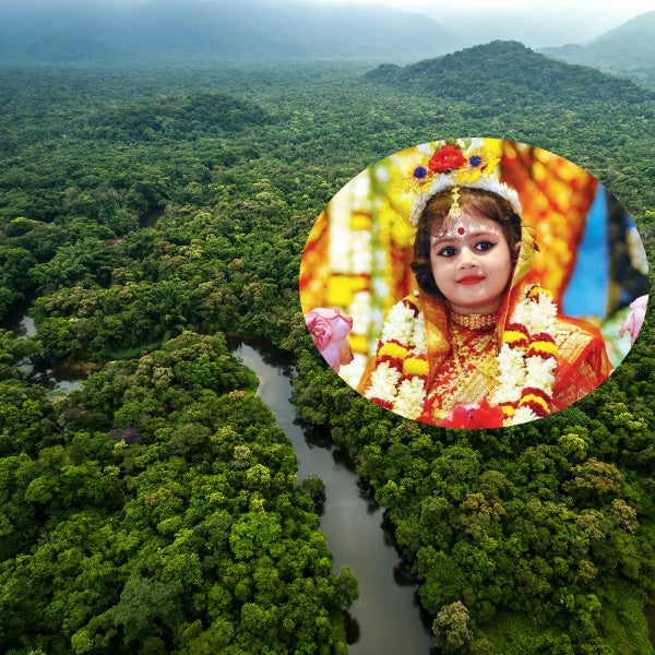 Tree Plantation on Navratri – Grow Billion Trees