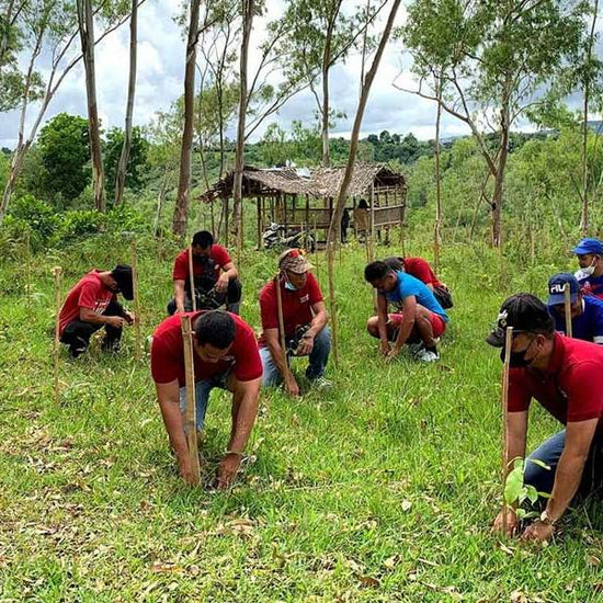 Trees for Employees – Grow Billion Trees