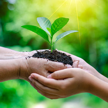Tree Plantation for CSR – Grow Billion Trees